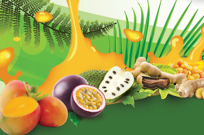 Coropina Sappen – Surinaamse sappen
